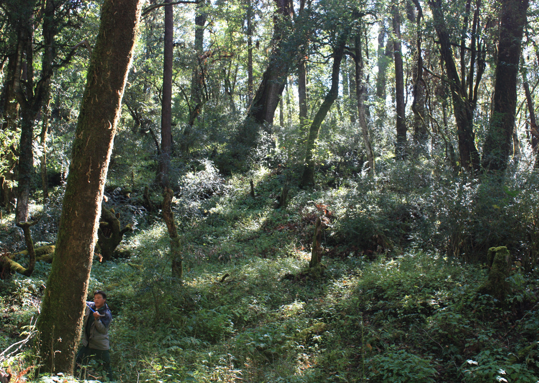 Around the Broadleaf World in 180 Days – State of the Planet