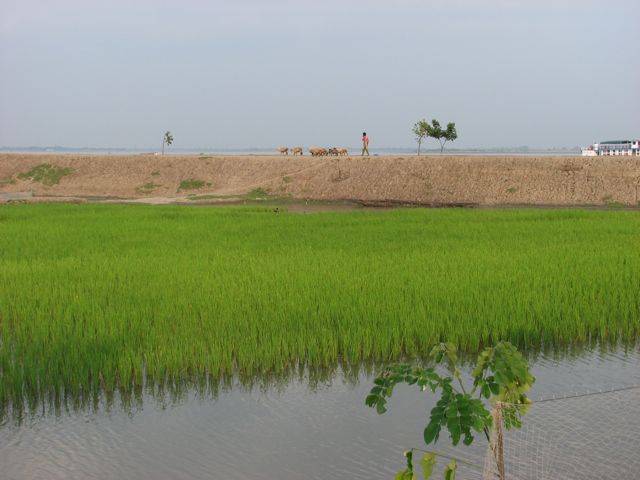 Polder 32 – State of the Planet