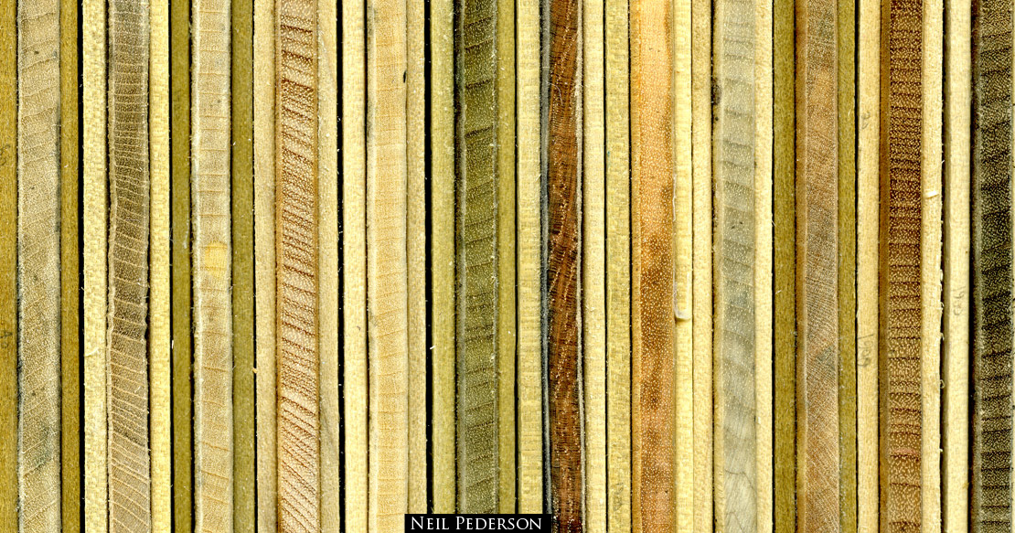 The Zen of Sanding – State of the Planet