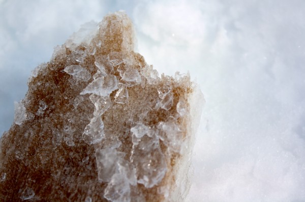 A Tale of Sea Ice, Algae and the Arctic – State of the Planet