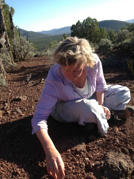 Terry Plank: Volcano Maven – State of the Planet