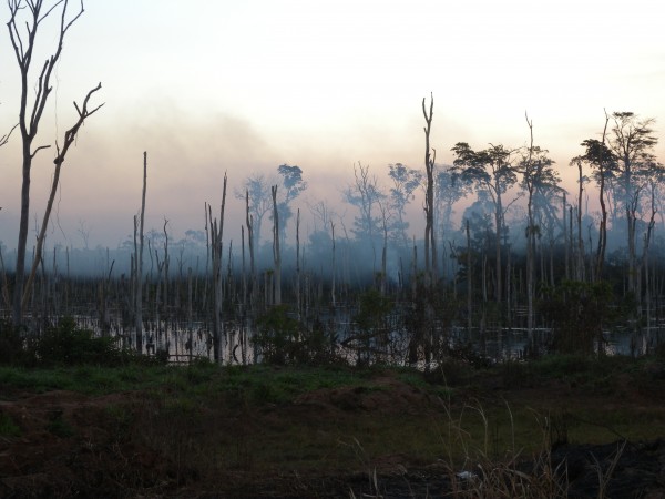 ‘The Big Ratchet’ – State of the Planet