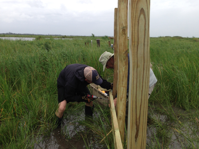 Construction in the Swamp – State of the Planet