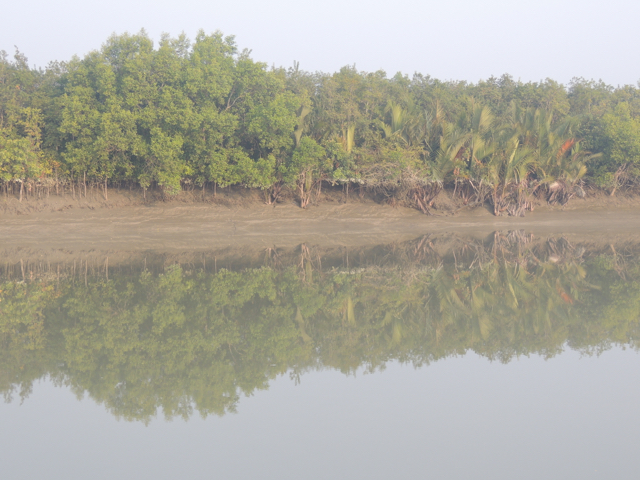 Side Trip to Hiron Point, Sundarbans – State of the Planet