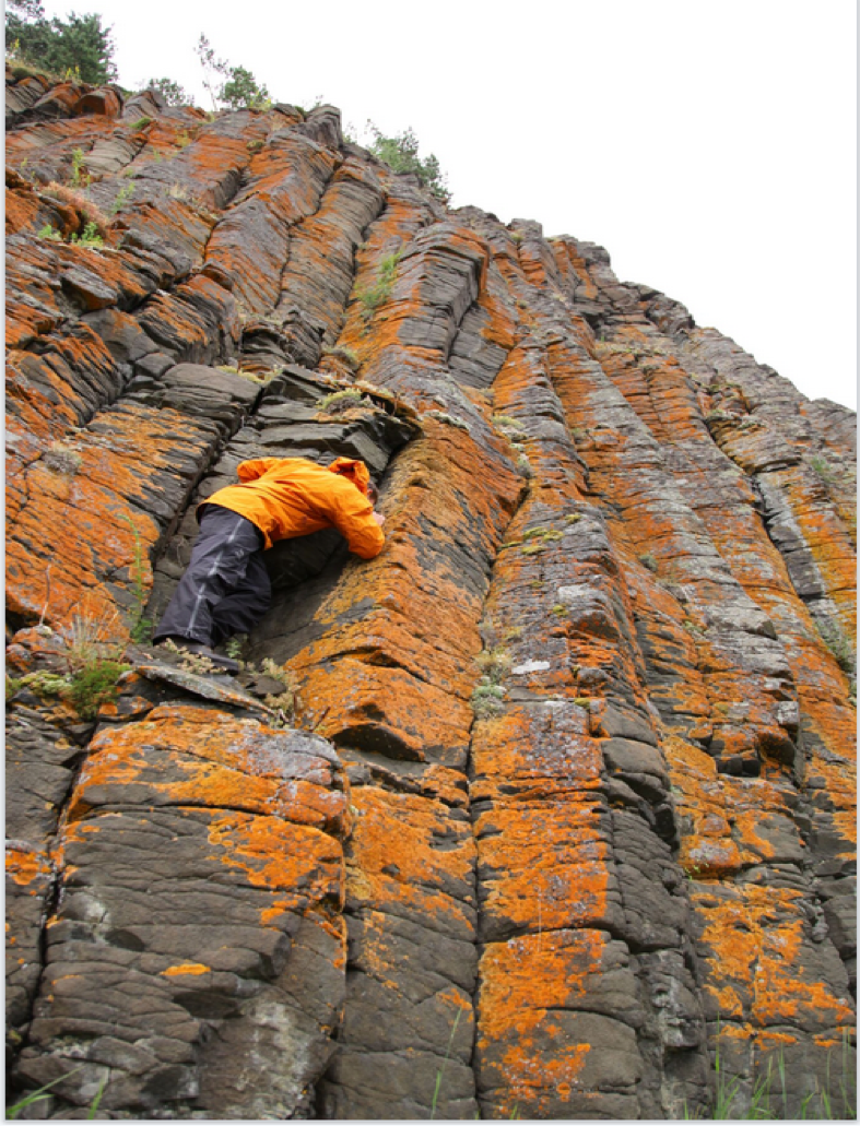 Study Bolsters Volcanic Theory of Ancient Extinction – State of the Planet