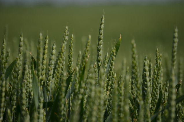 Is There a Human Right to Land? – State of the Planet