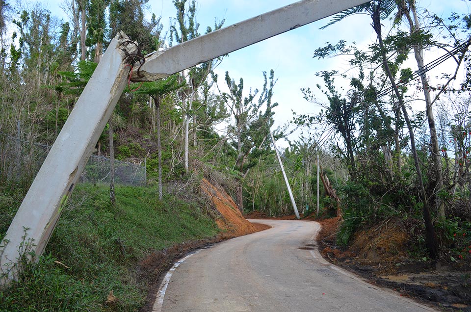 Photo Essay: The Re-Greening of Puerto Rico – State of the Planet