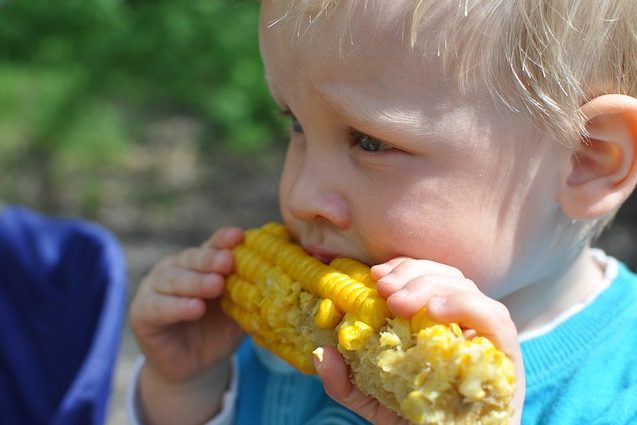 Corn, Obesity, and Navigating Healthy Eating Choices as a Parent ...