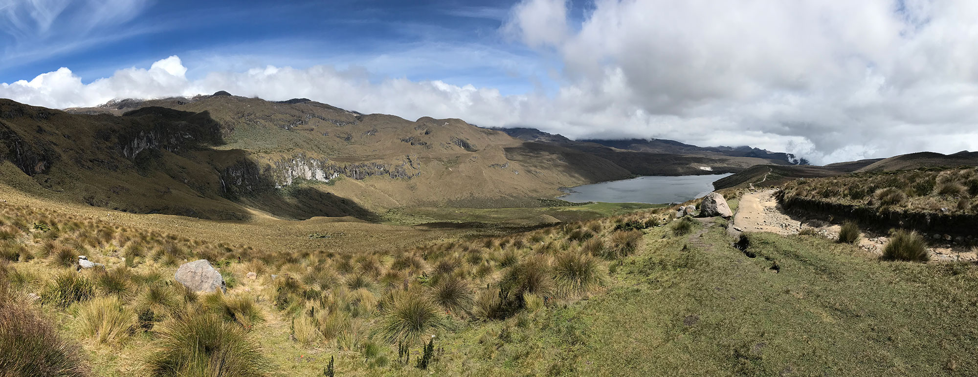 This Unique Andean Ecosystem is Warming Almost as Fast as the Arctic ...