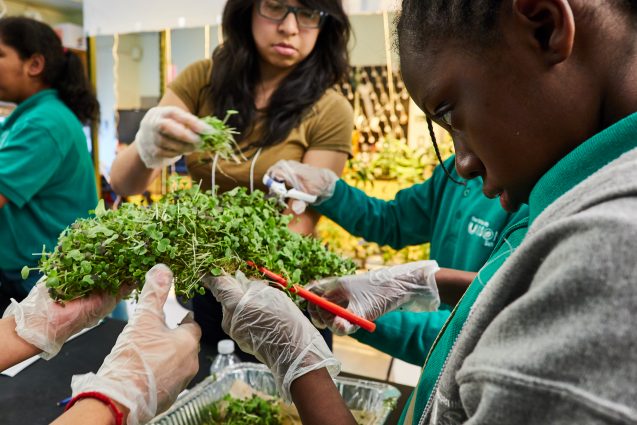 How to Scale Food Justice: A Capstone Project – State of the Planet
