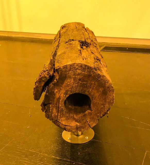 ‘Offsetted’ Art Exhibit Explores Humanity’s Relationship to Trees ...