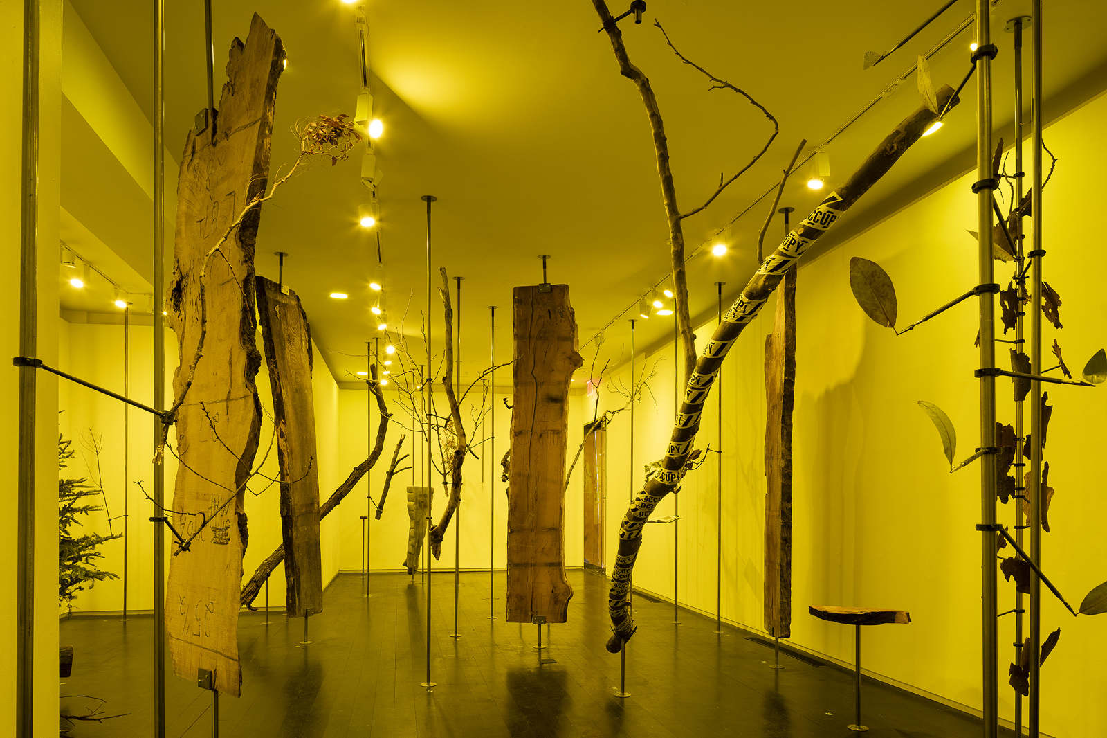 ‘Offsetted’ Art Exhibit Explores Humanity’s Relationship to Trees ...