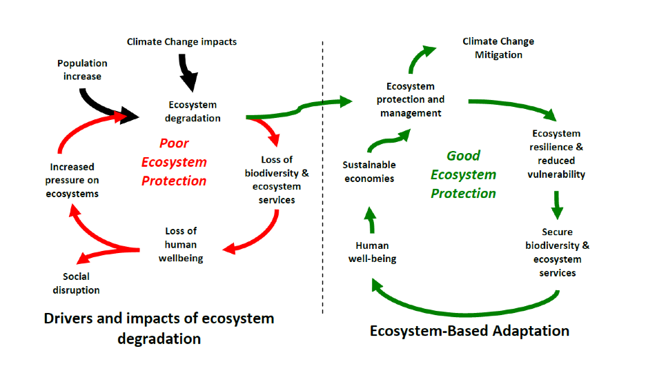 Nature-Based Solutions: The Missing Ingredient in Climate Adaptation ...