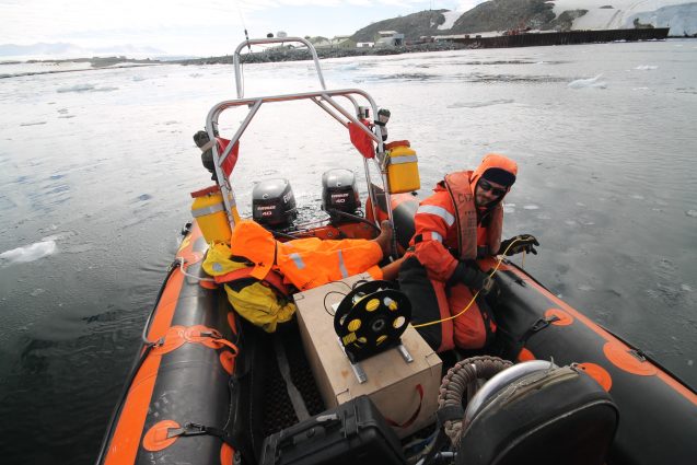 How Ice Scouring in the Antarctic Disrupts Ecosystems – State of the Planet