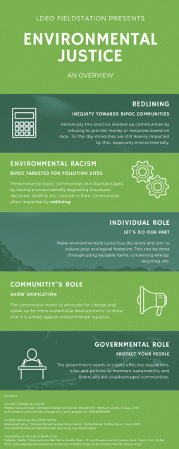 Environmental Justice Through the Eyes of The Next Generation of Hudson ...