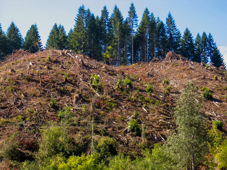 Land Restoration Can Profoundly Benefit People and the Environment ...