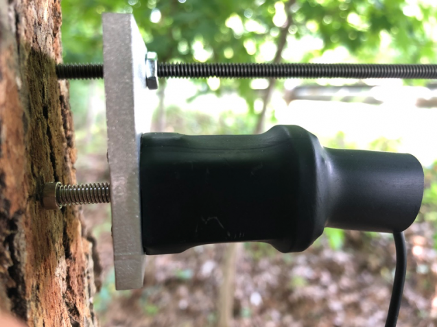 Rooftop Camera Will Track How Local Forests Change With the Climate ...