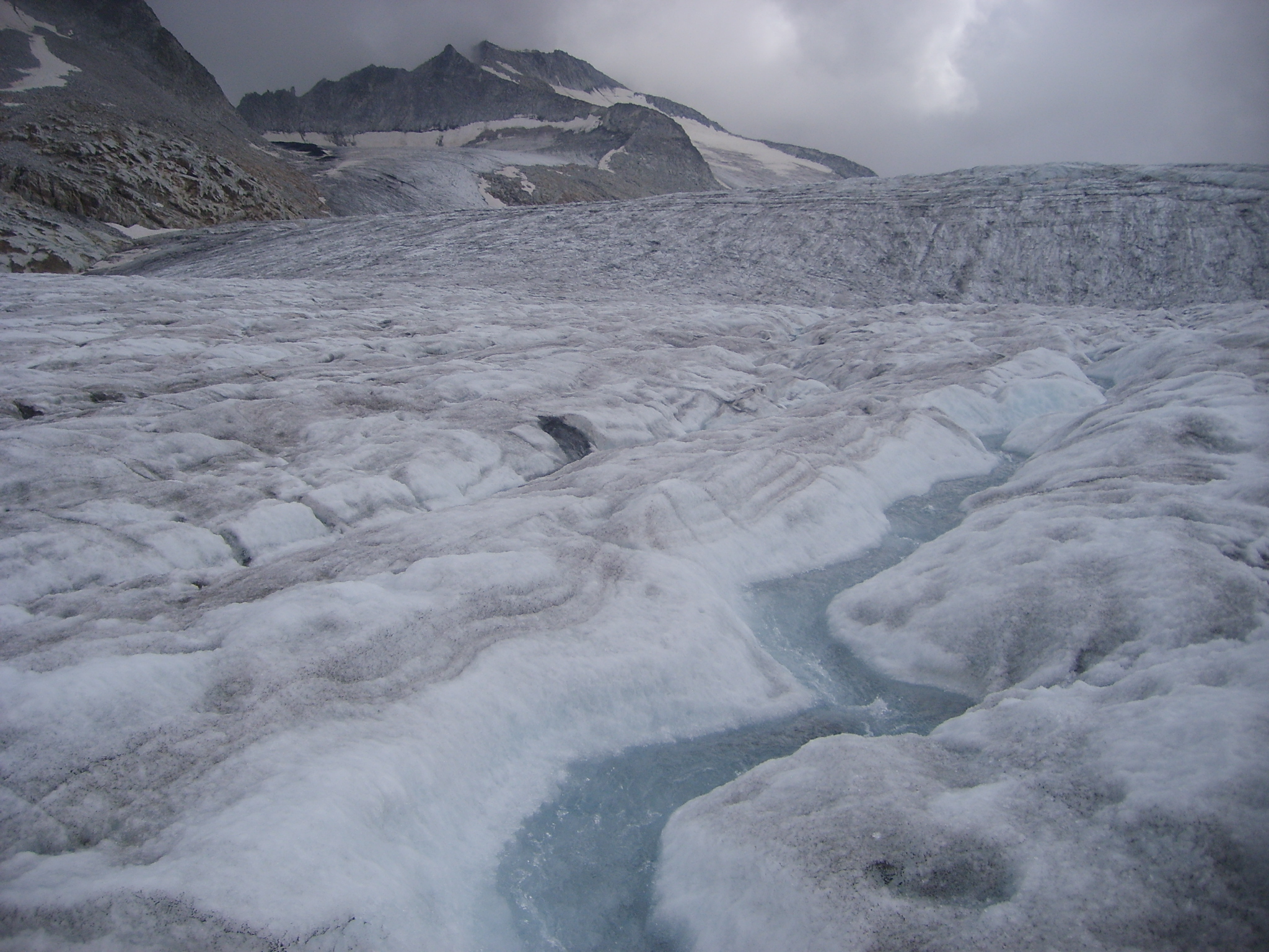 Scientist Questions Ethics of Collecting Endangered Insects for Study ...
