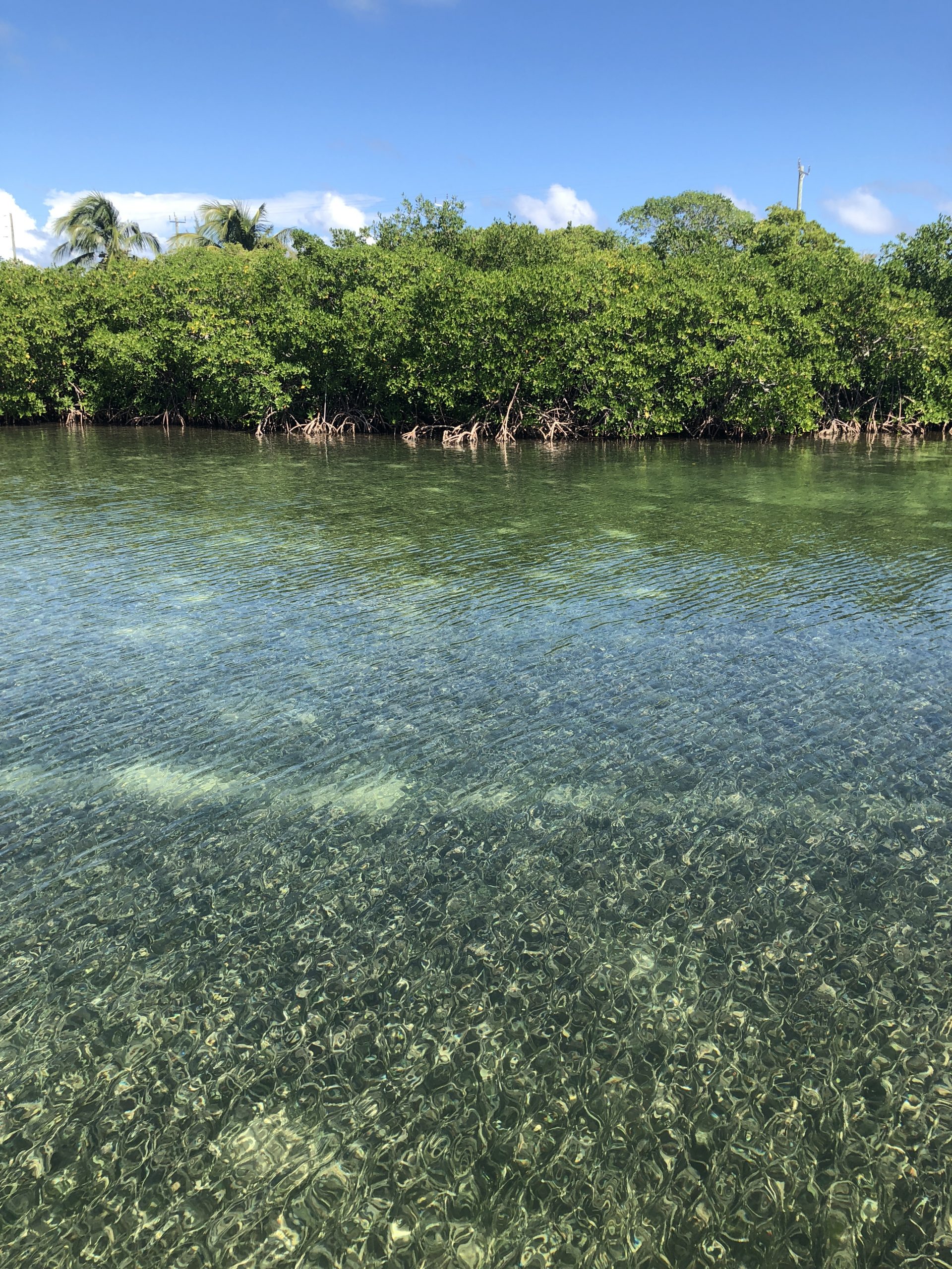 Manishka De Mel: Helping People and Ecosystems Adapt to Climate Change ...