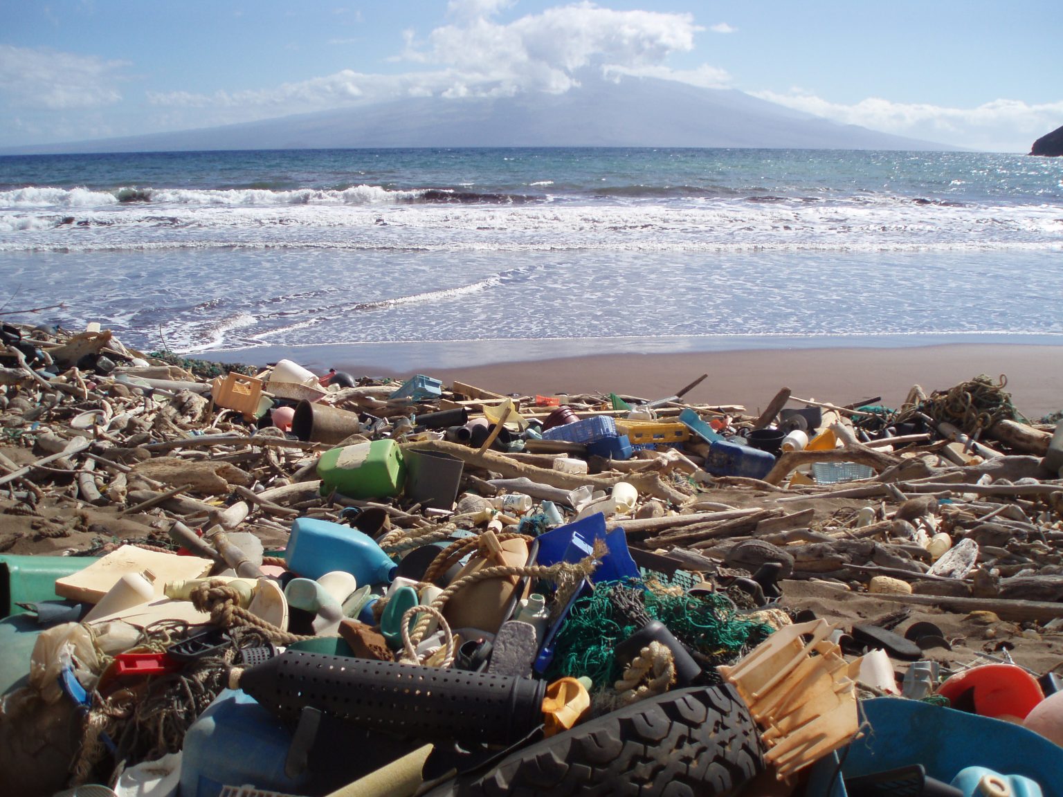 How Do We Clean Up All That Ocean Plastic? – State of the Planet