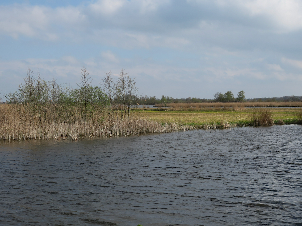 Land Subsidence in the Netherlands – State of the Planet